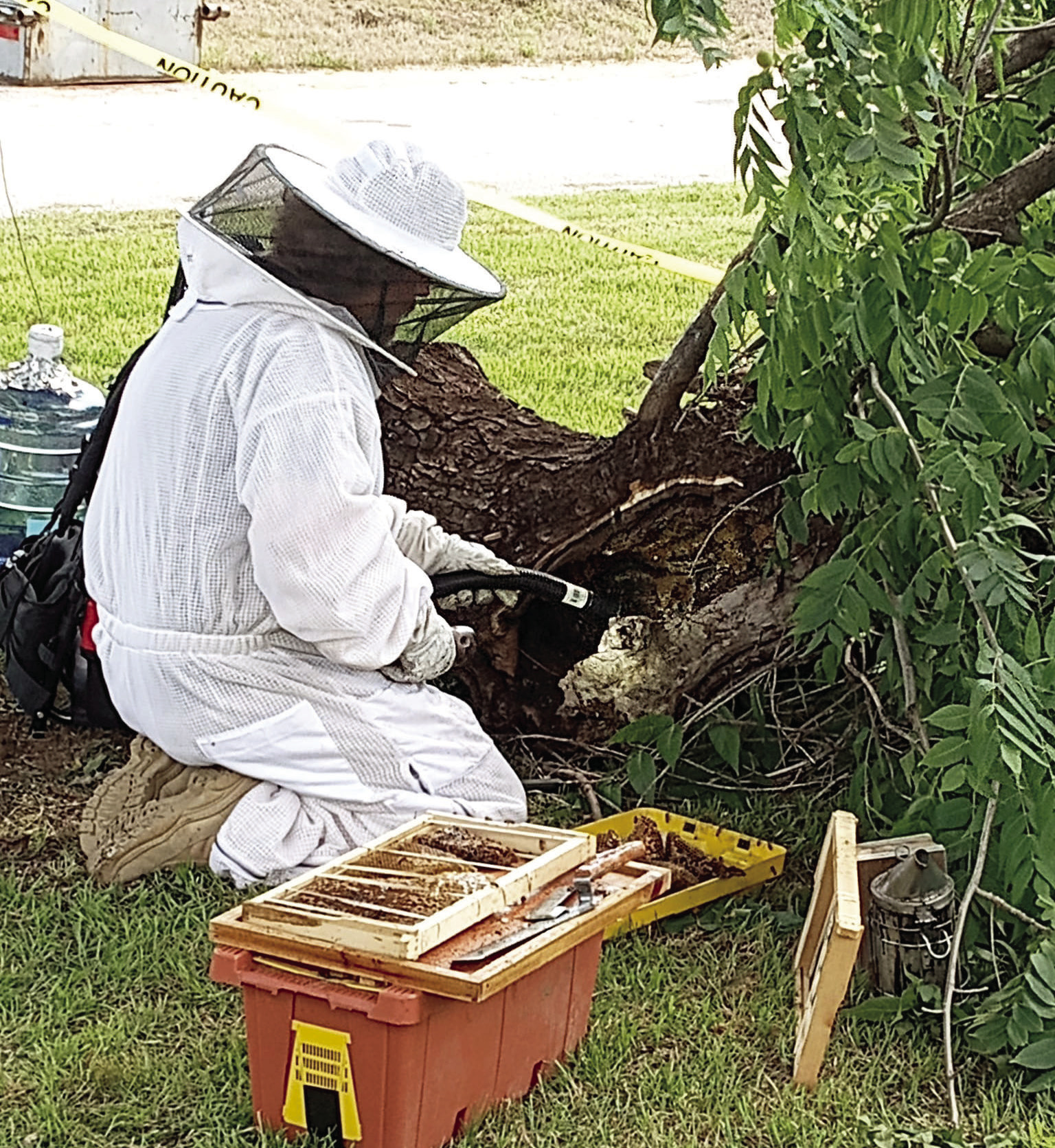 Maysville man survives bee attack | Garvin County